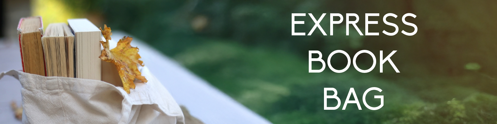 Library Offerings - Brandon Free Public Library